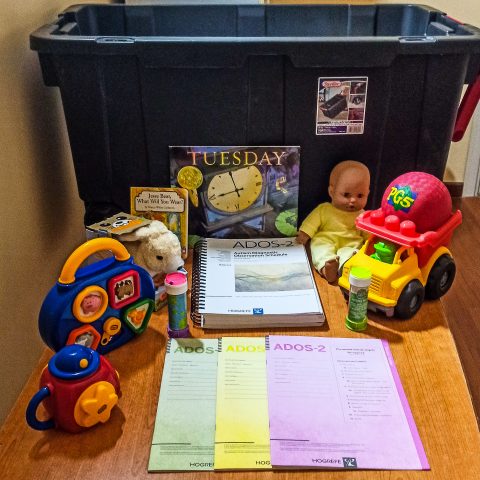 Ados-2: test diagnostico dell'autismo » Istituto Santa Chiara